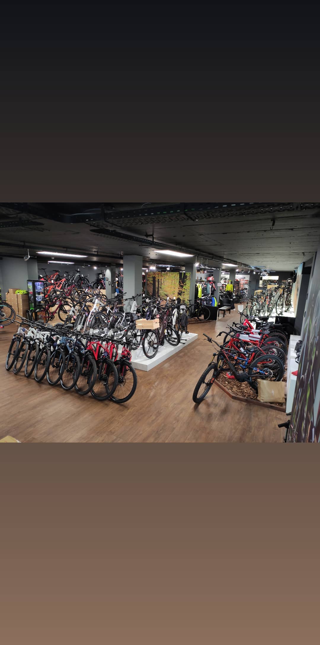 À propos de Hot Wheelz, votre magasin de vélos à Bruxelles | Specialized